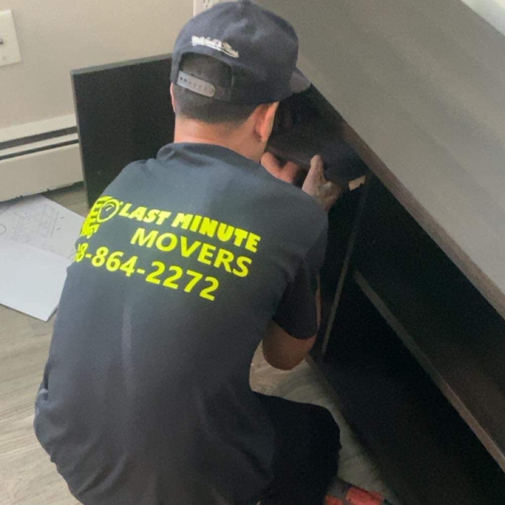 Last Minute Movers - A Local Springfield Moving Company | HireAHelper
